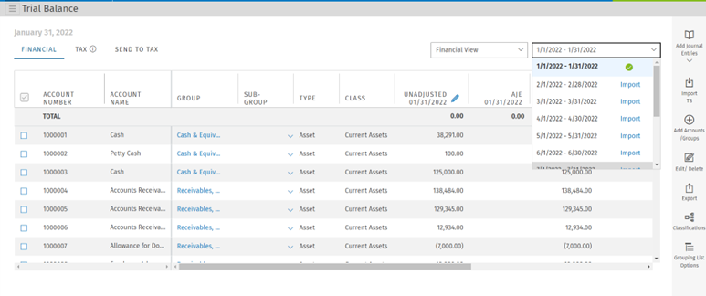 Import a Trial Balance in an Interim Engagement
